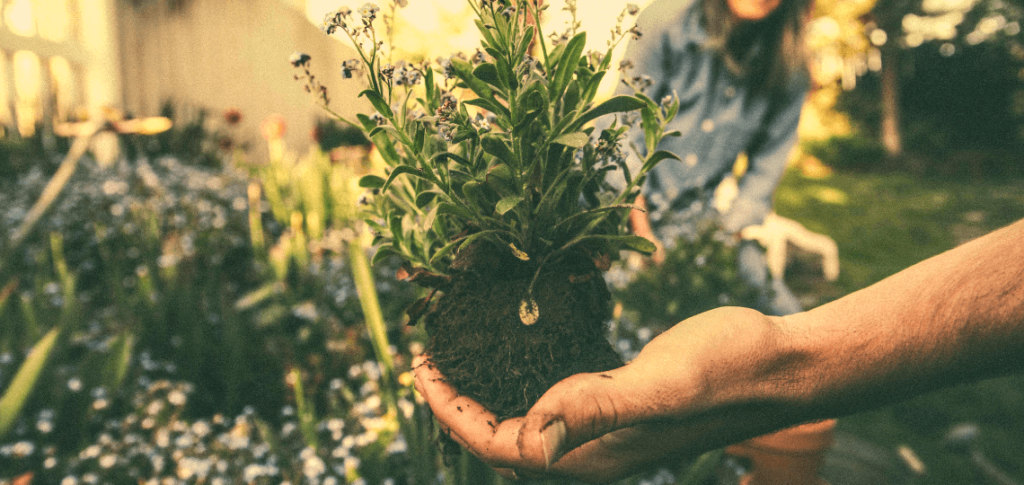 5 Tips on How to Start Your Self Improvement Journey - Dear Self, Grow.