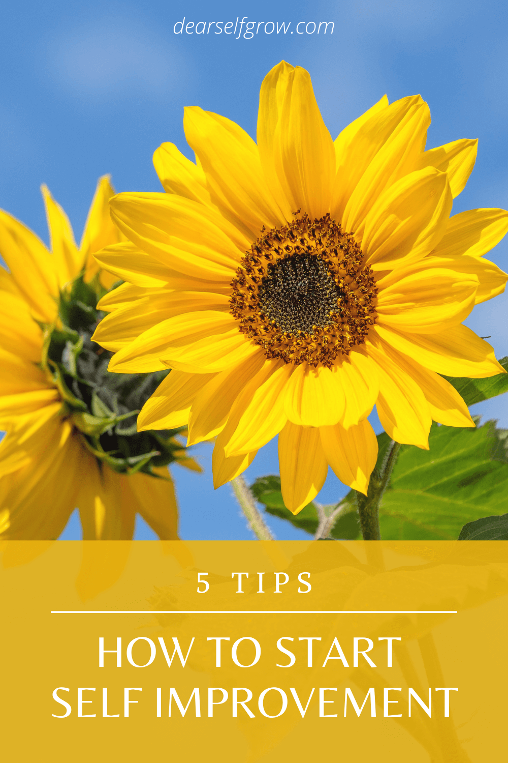 5 Tips on How to Start Your Self Improvement Journey - Dear Self, Grow.